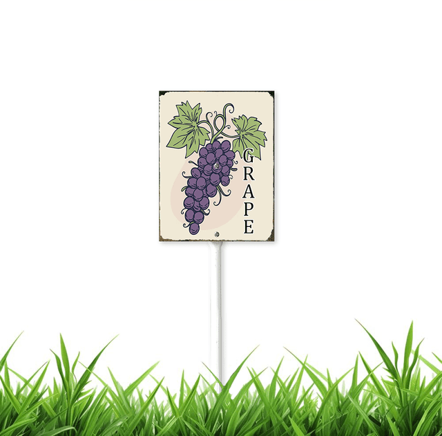 Grape Yard Sign with Stake 7x8.8 inch Aluminum Outdoor Decoration Sign ...