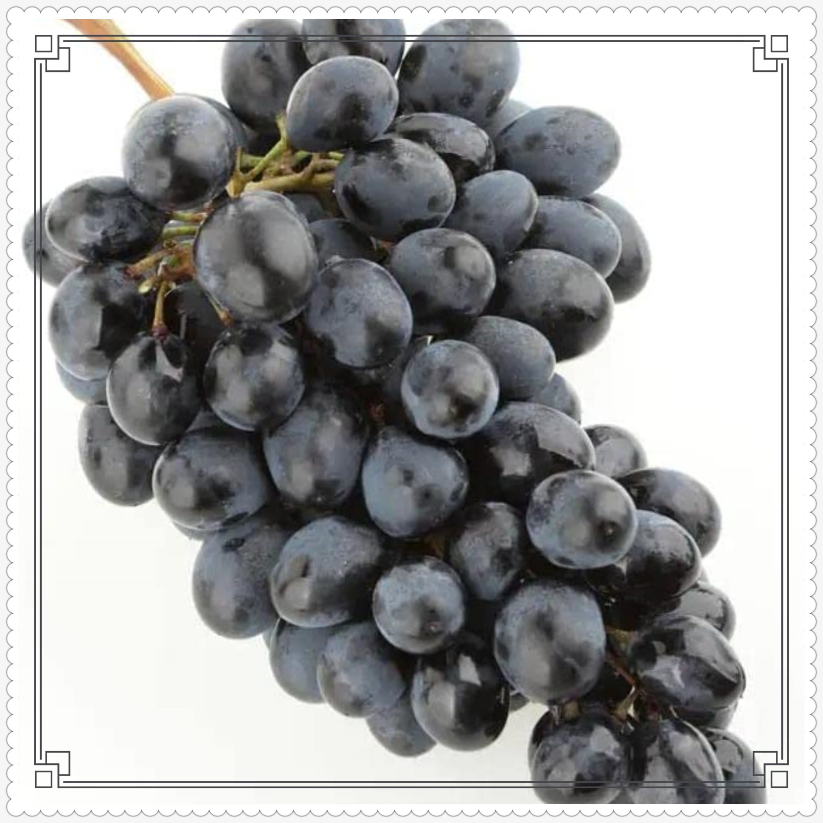 Grape for Gardening and Planting Indoors or Outdoor planting - Walmart.com