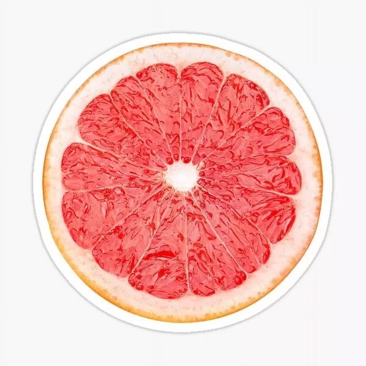 Grapefruit Slice Wedge Fun & Whimsical Decal Laptops Water Bottles ...