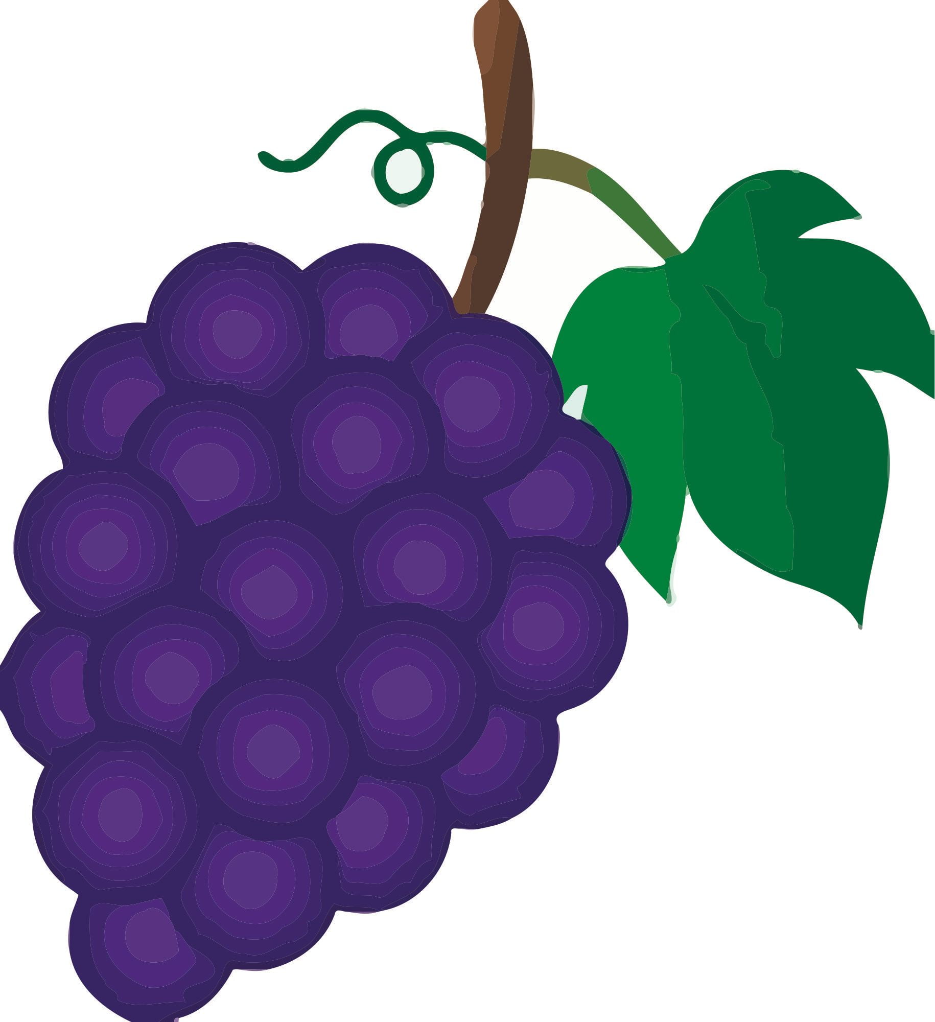 Grapes Food Grape Vine Wall Vinyl Peel and Stick Car Truck Window ...