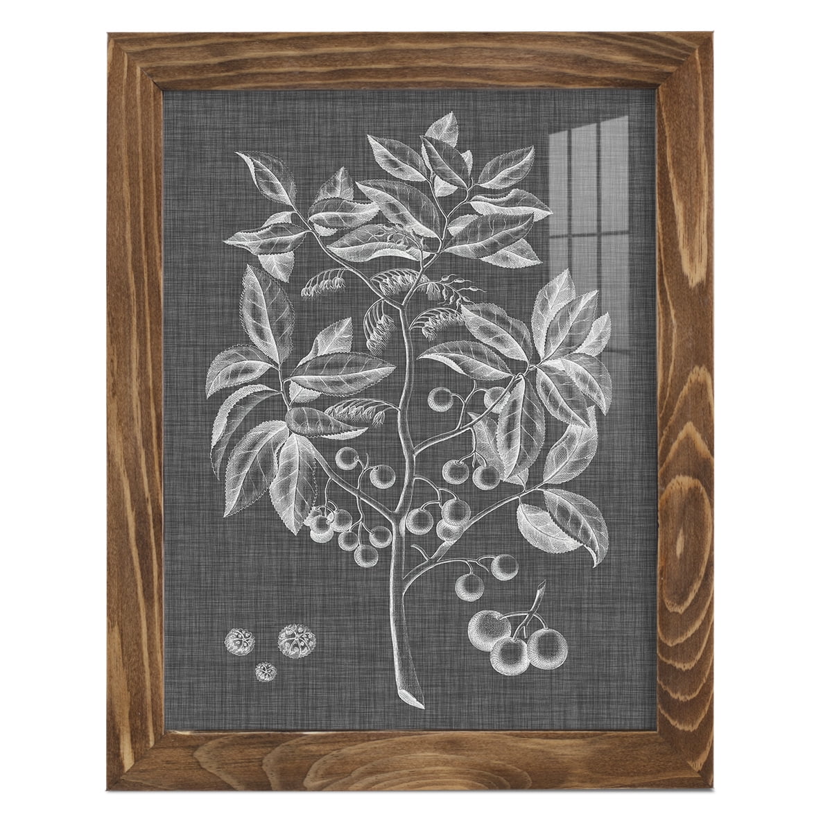 Graphic Foliage VI - Framed Print w/glass - Walnut - Walmart.com