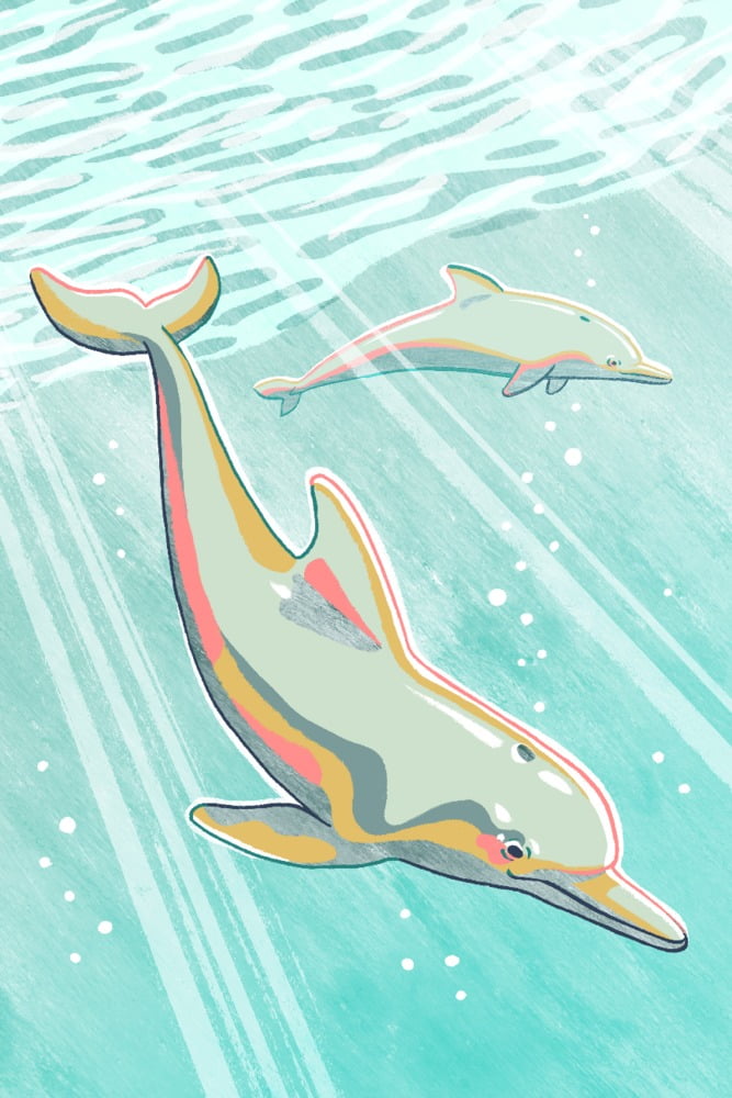 Graphic Pastel, Bottlenose Dolphin (24x36 Giclee Gallery Art Print ...
