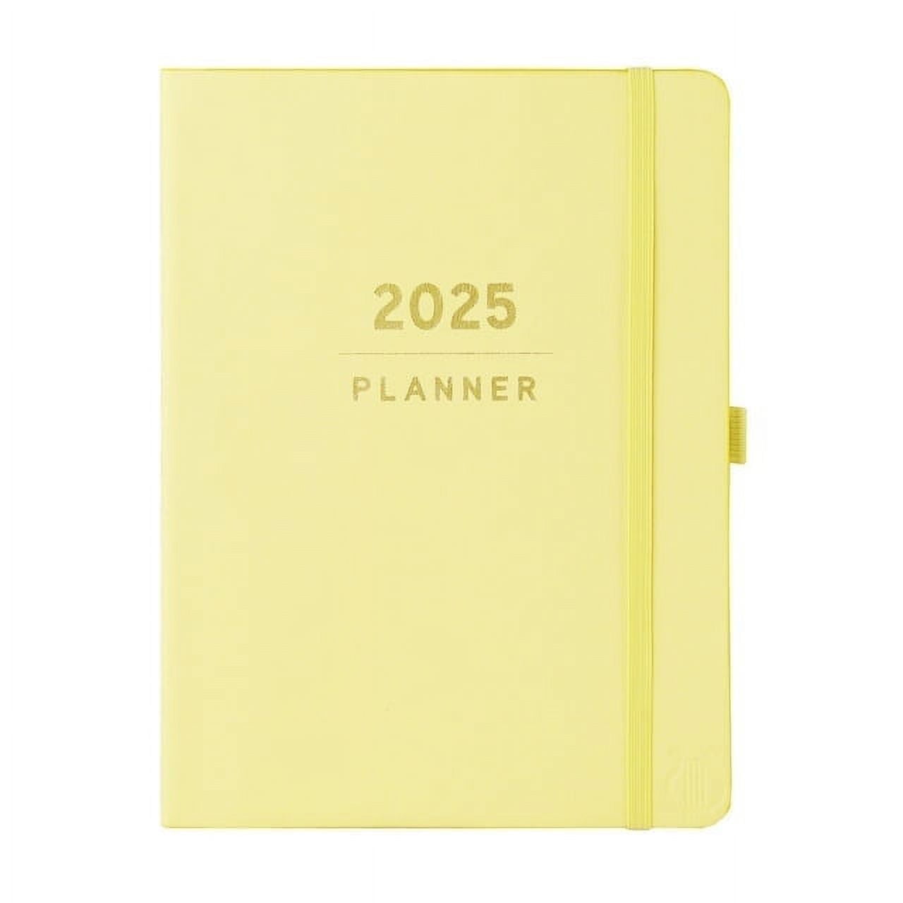 Graphique 2025 Apollo Business Planner - 18 Month Organizer, July 2024 ...