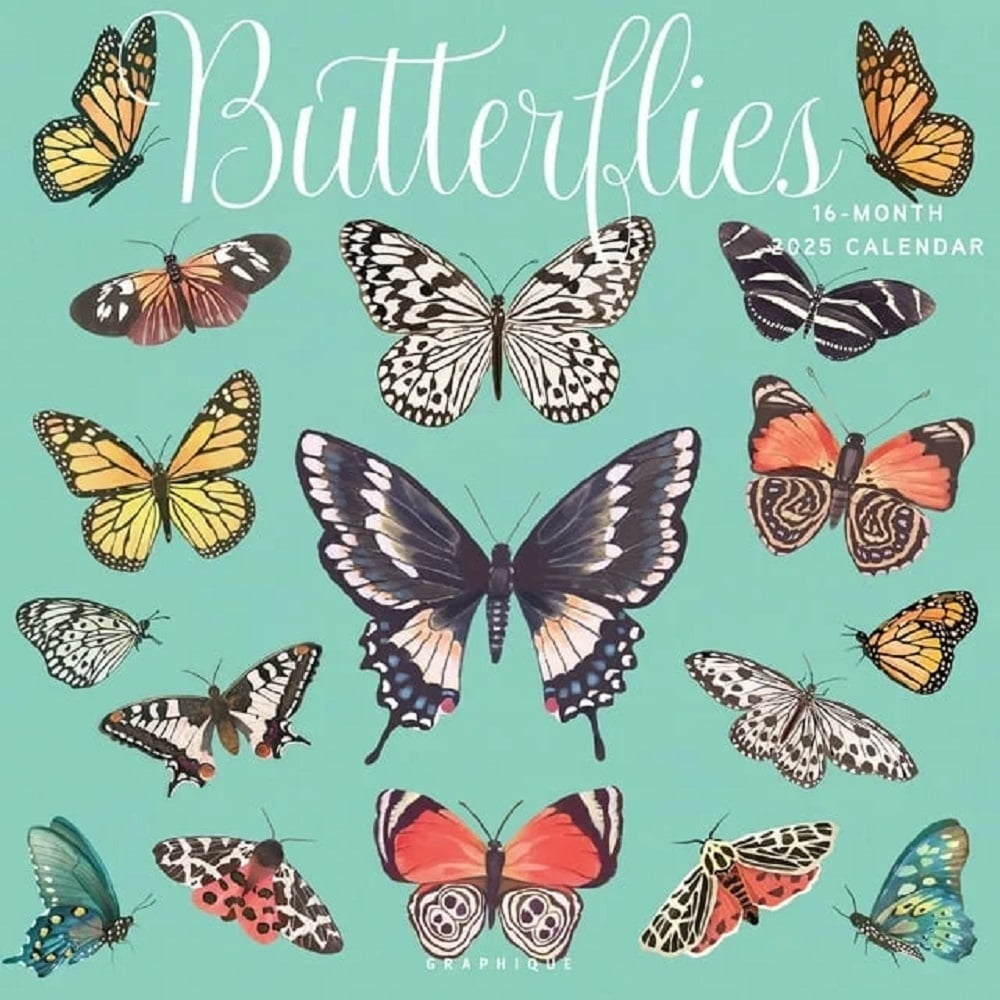 Graphique 2025 Butterflies Wall Calendar 12x12 inches Thick Paper Large ...