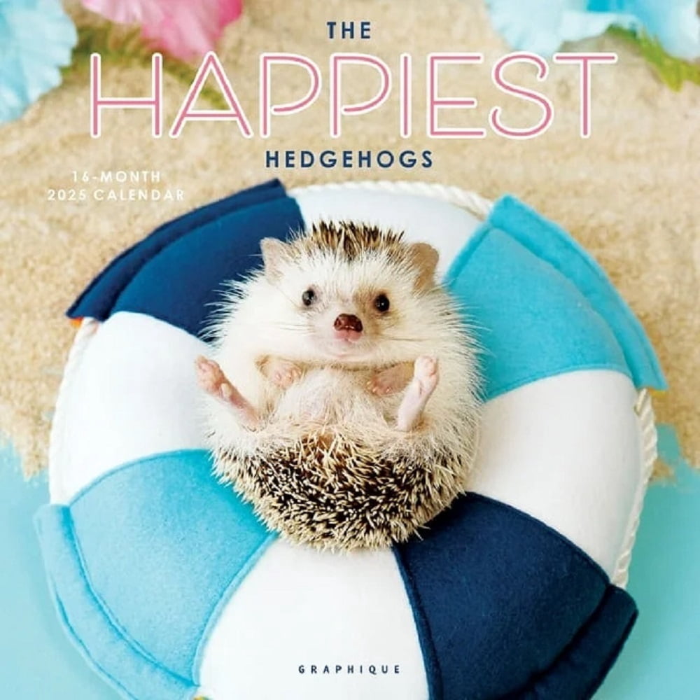 Graphique 2025 Happiest Hedgehogs Wall Calendar | 12” x 12” | Thick ...