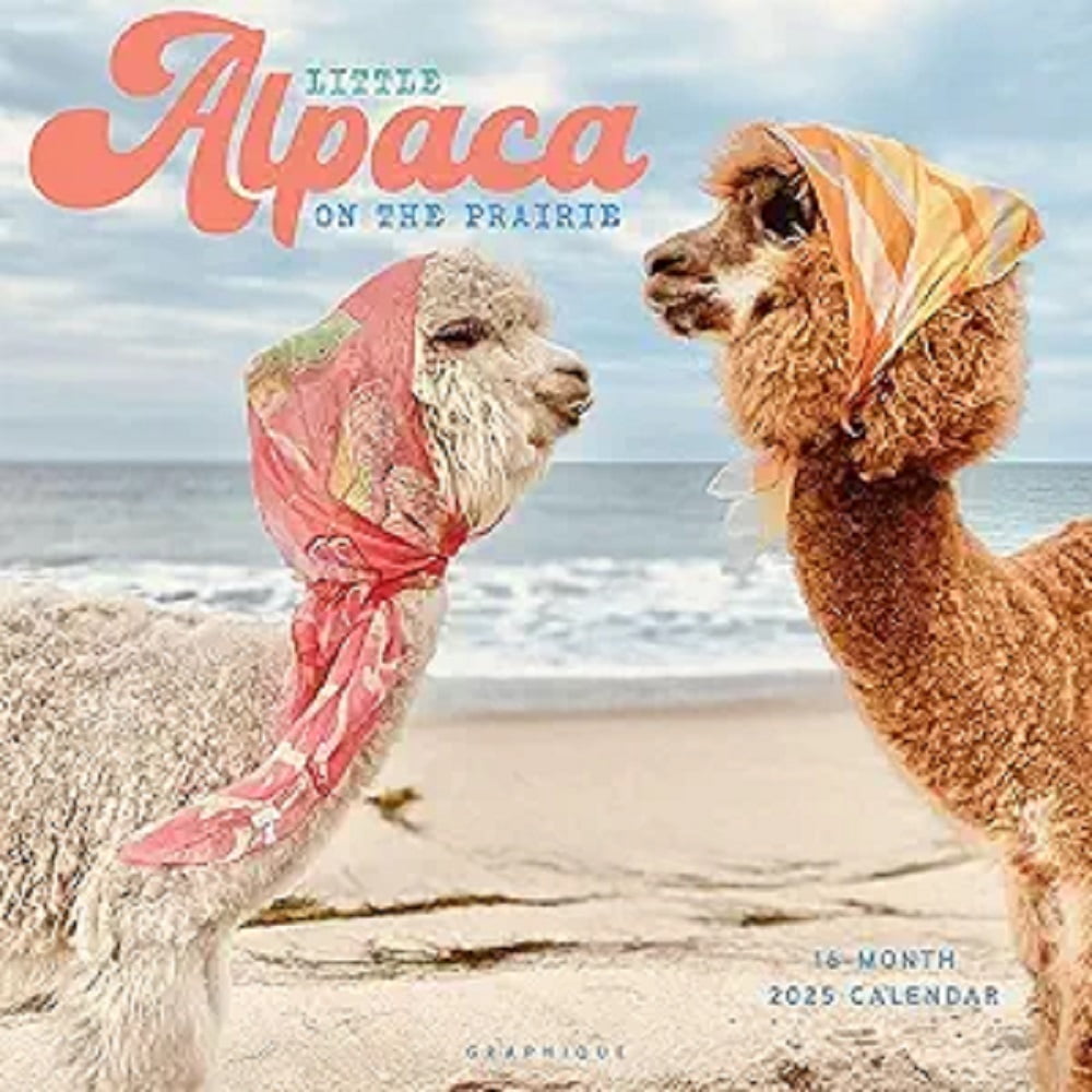 Graphique 2025 Little Alpaca on the Prairie Wall Calendar | 12” x 12 ...
