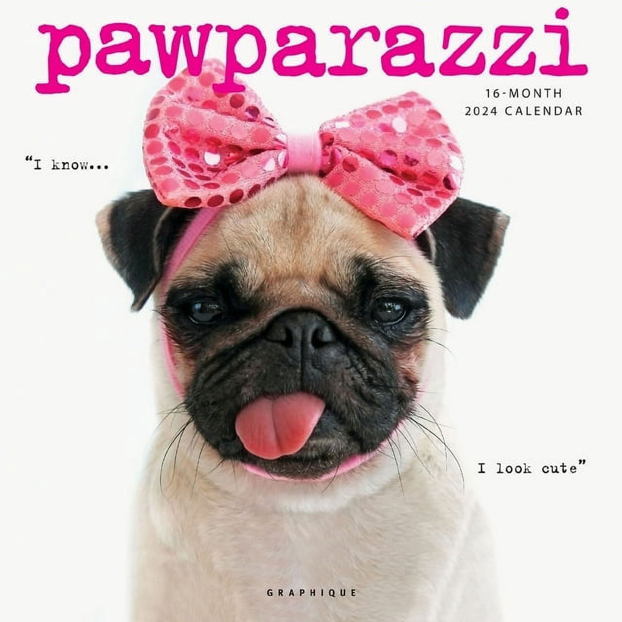 Graphique 2025 Pawparazzi Wall Calendar - 12” x 12” - Thick Paper ...