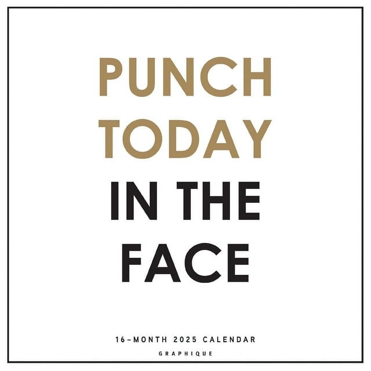 Graphique 2025 Punch Today in the Face Wall Calendar | 12” x 12 ...