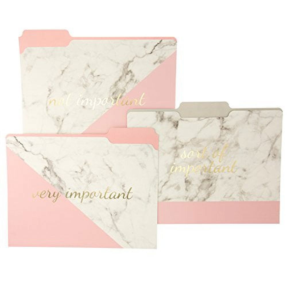 Graphique Blush Marble File Folder Set - File Set Includes 9 Folders ...