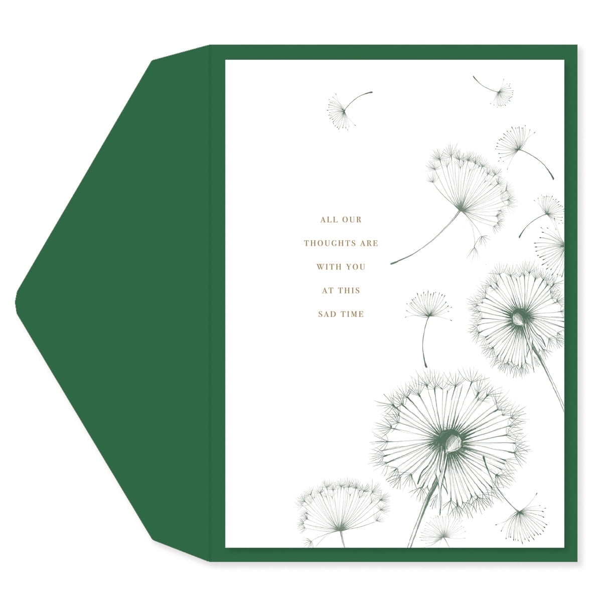 Graphique Dandelions Sympathy Card | Condolence and Bereavement ...