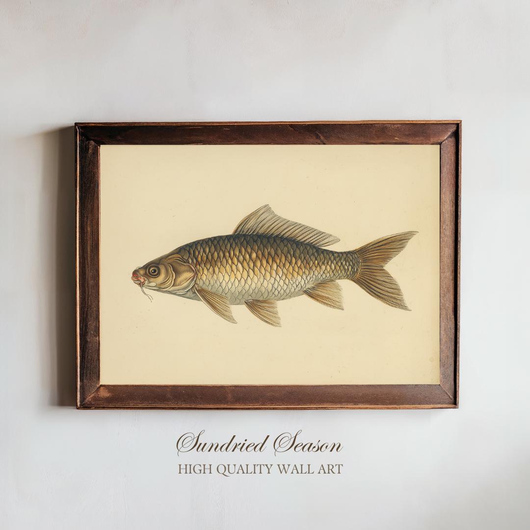 Grass Carp Vintage Scientific Print, Natural History Freshwater Fish ...