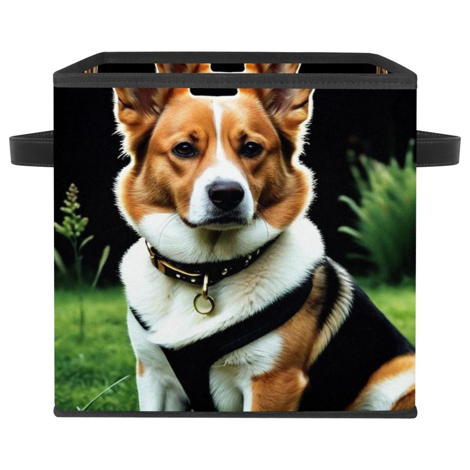 Grass Corgi Storage Bins, Extra Large Closet Storage Cube for ...