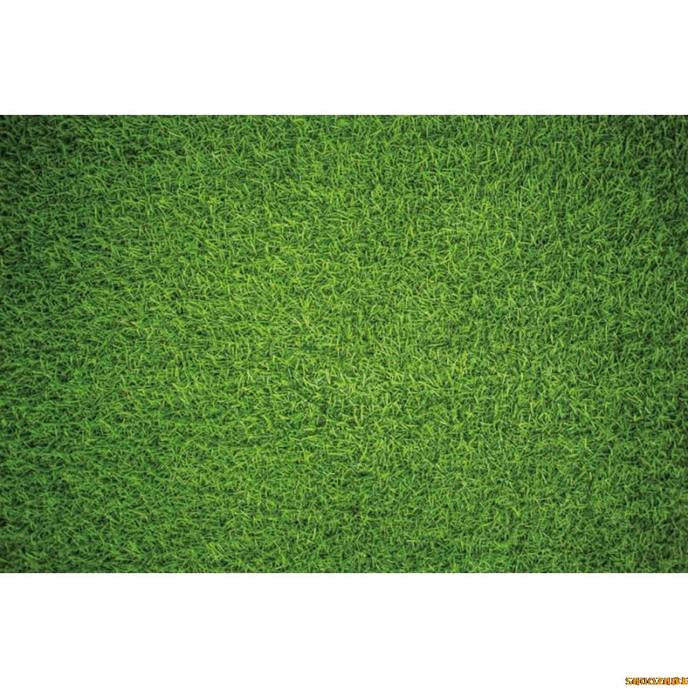 Grass Gre Leaves Backdrop Summer Tropical Jungle Baby Birthday Party ...