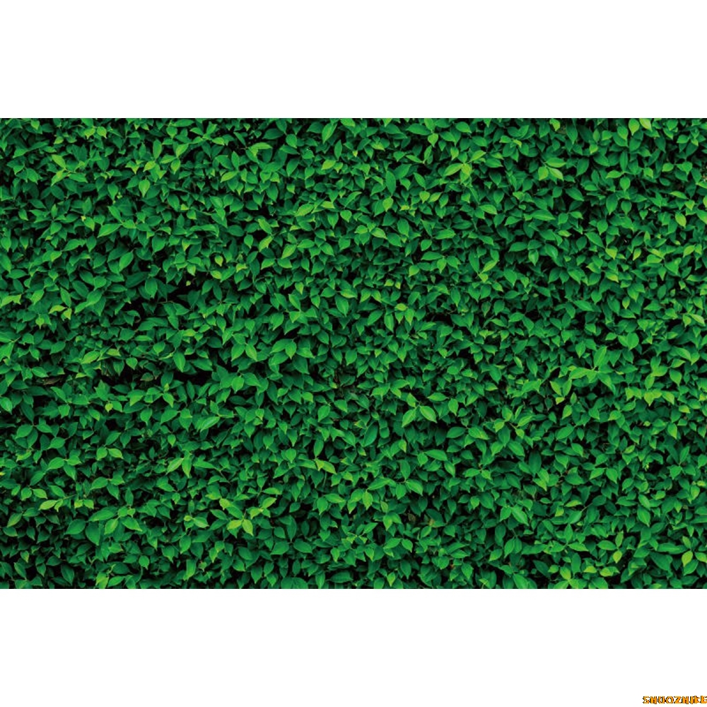 Grass Gre Leaves Backdrop Summer Tropical Jungle Baby Birthday Party ...