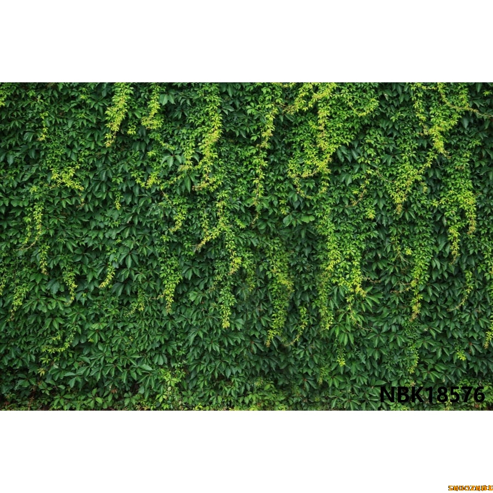 Grass Gre Leaves Backdrop Summer Tropical Jungle Baby Birthday Party ...