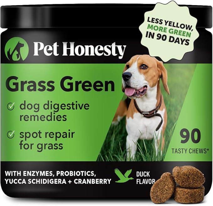 Grass Green Dog Chews - Urine Neutralizer for Lawn Dog Pee Grass Helps ...