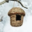 SunGrow Natural Coconut Shell Nest & Hanging Bird House with Ladder ...