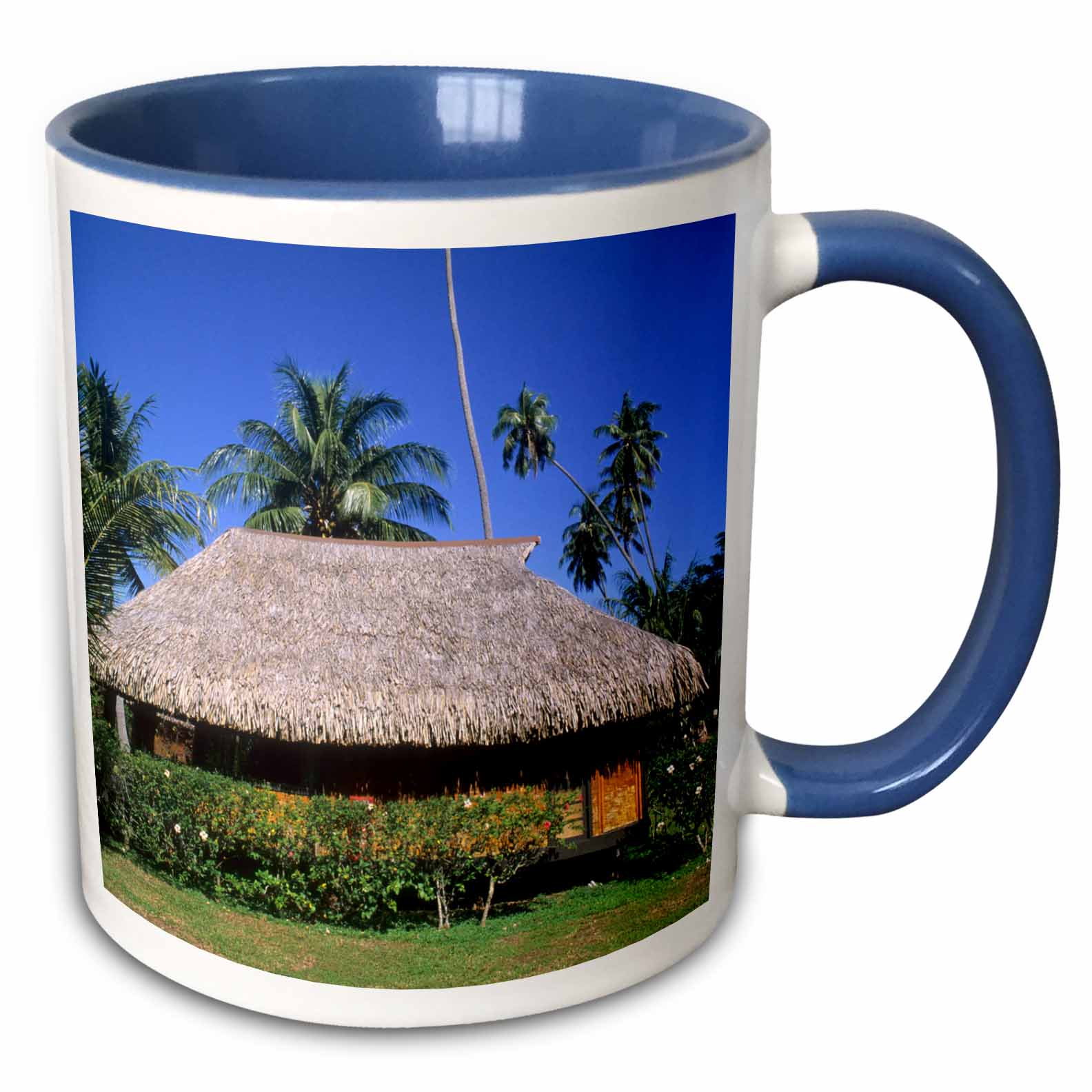 3drose, Grass Hut in Tahiti, Bora Bora, French Polynesia - Oc13 Bba0053 ...