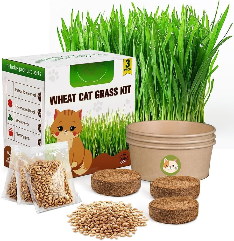 Grass Kit for Indoor Cats, 3 Growing Grass Kit with Biodegradable Pots ...