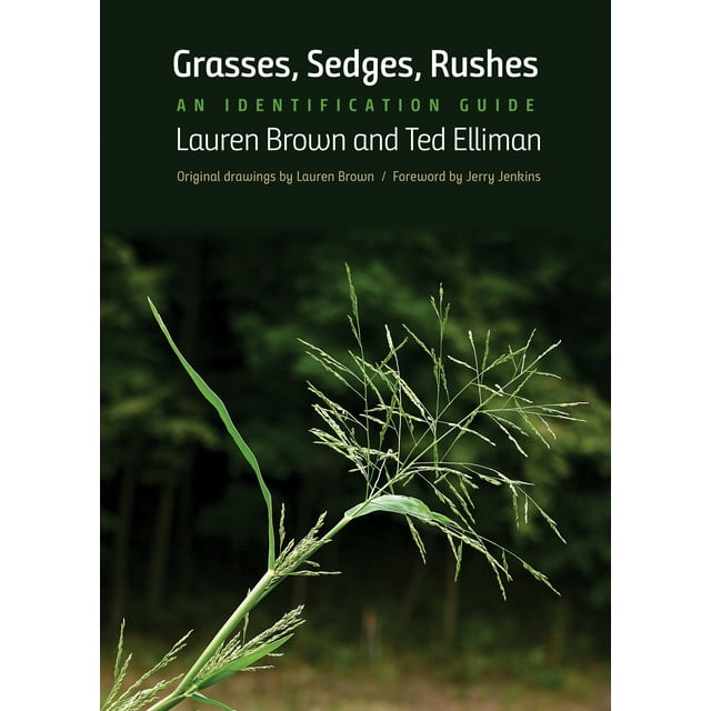Grasses, Sedges, Rushes : An Identification Guide (Paperback) - Walmart.com