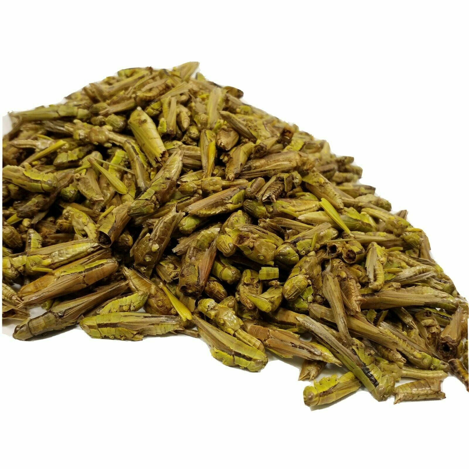 Grasshoppers - Freeze Dried Grasshoppers, Freeze Dried Gourmet Mix ...