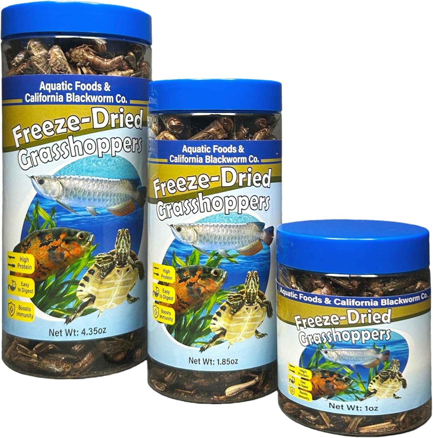 Grasshoppers, Freeze Dried Grasshoppers for Monster Fish, Reptiles ...