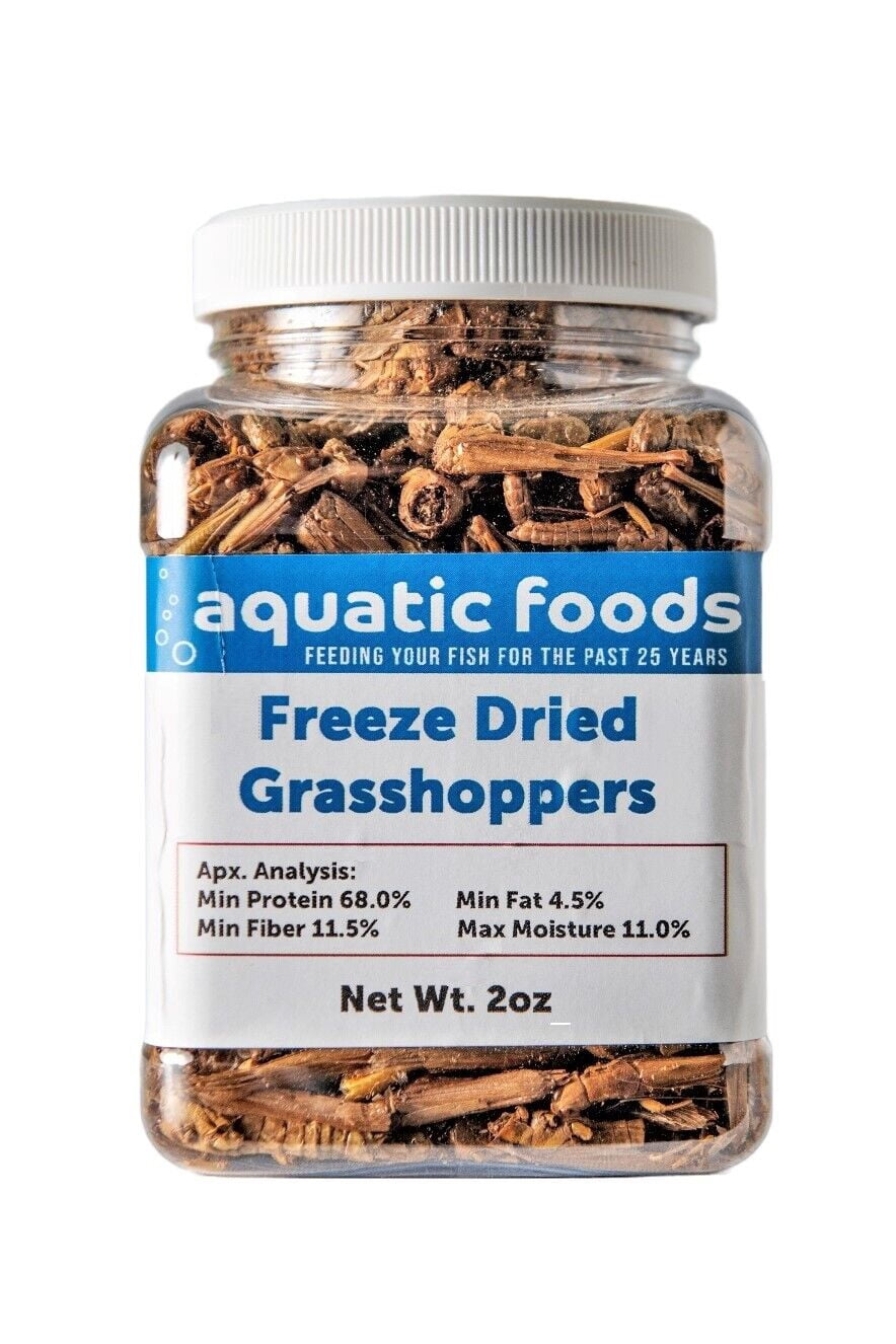 Grasshoppers - Freeze Dried Grasshoppers for Tropical Fish, Reptiles ...