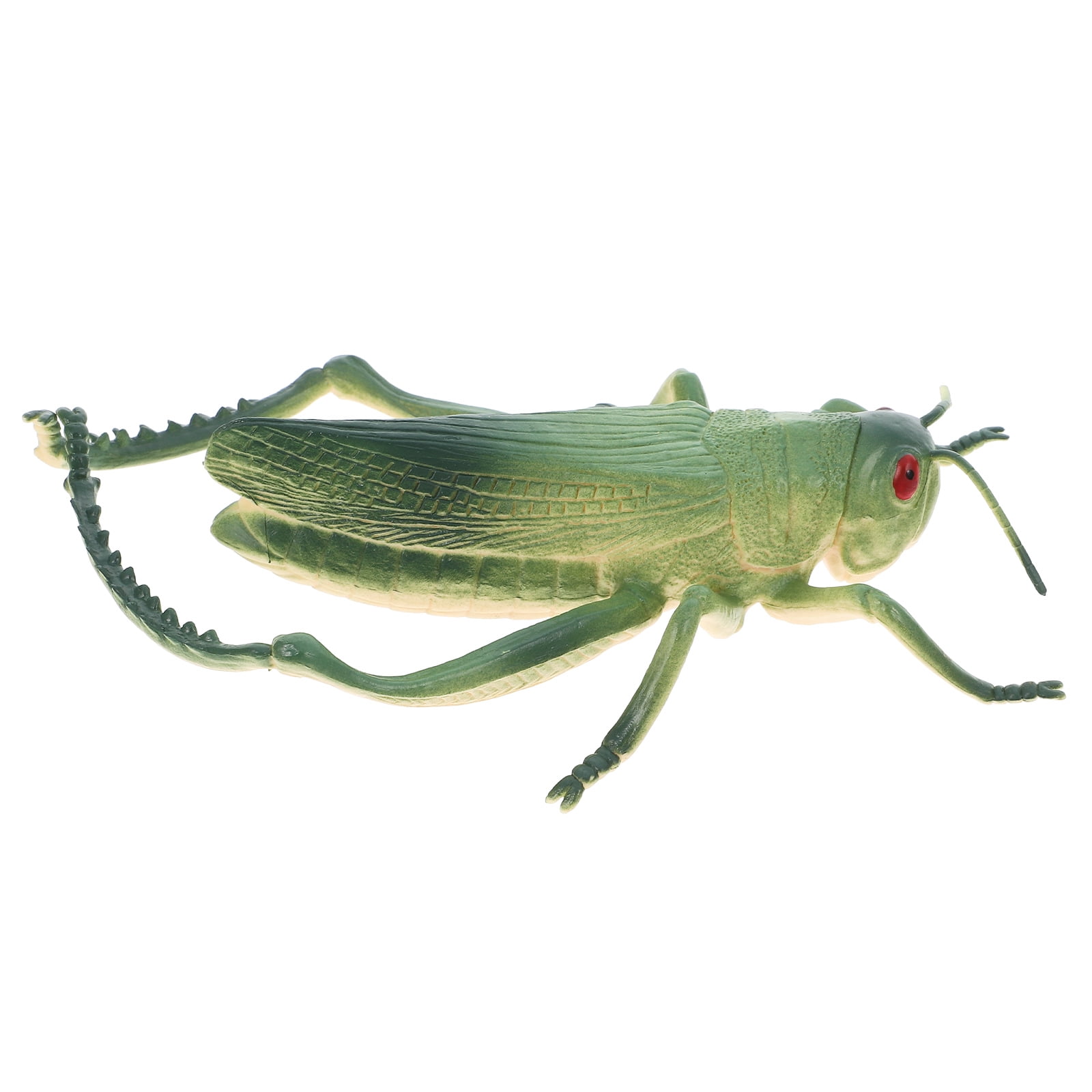 Grasshoppers Plastic Insect Figures Fake Bugs Toys Insect Figures Toys ...