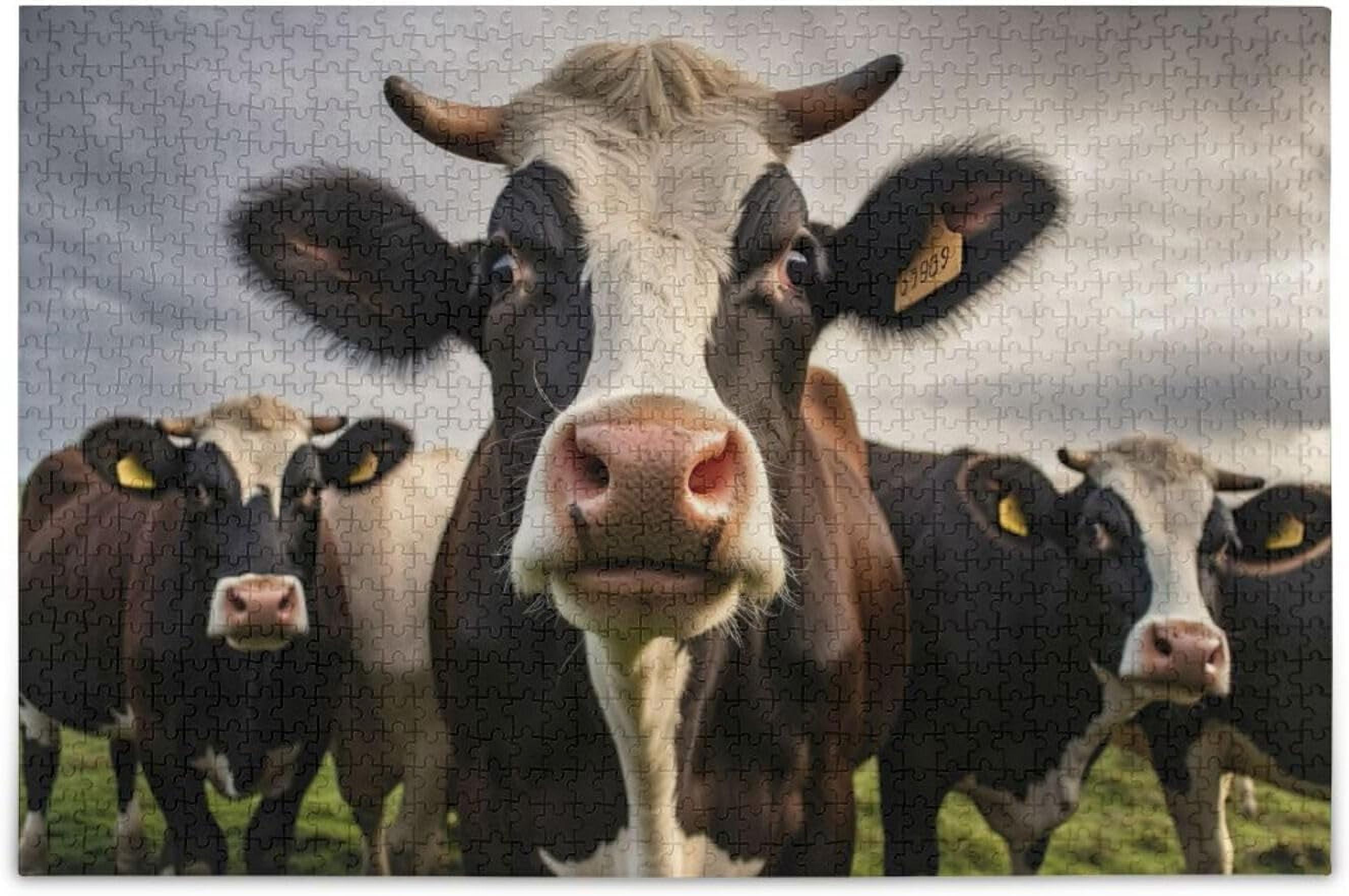 Grassland Cows Jigsaw Puzzle 500 Piecesdie Cut Puzzle Pieces Are Easy To Handle And No Two Are