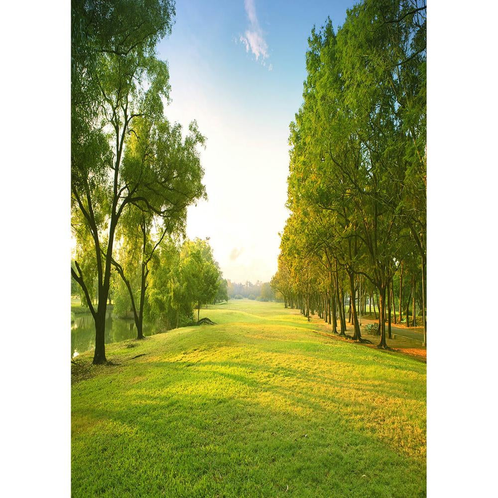 Grassland Trees Sunny Photo Backdrop Custom Vinyl Fond Background for ...