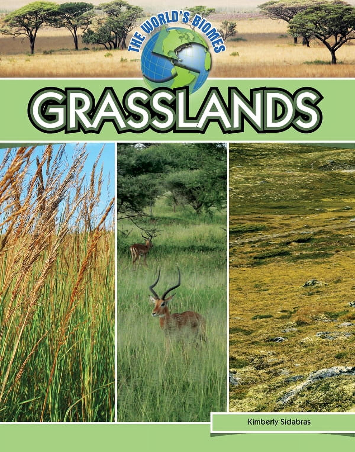 Grasslands (Hardcover) by Kimberly Sidabras - Walmart.com