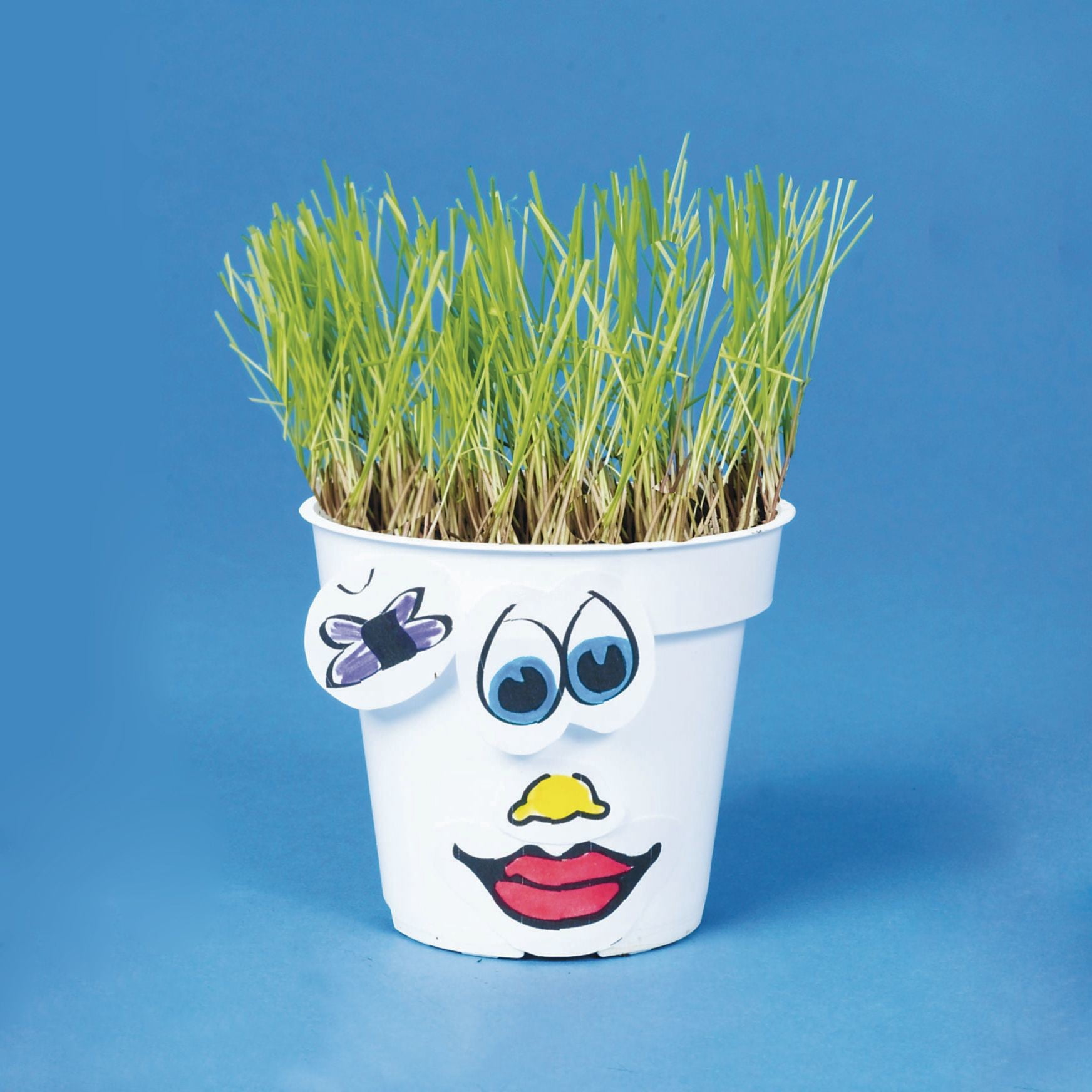 Grassy Gertie Craft Kit (Pack of 50) - Walmart.com
