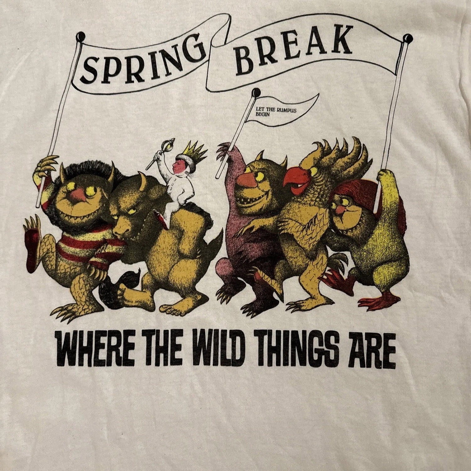 Grateful Dead X Where The Wild Things Are 92’ Vintage Summer Tour Shirt ...