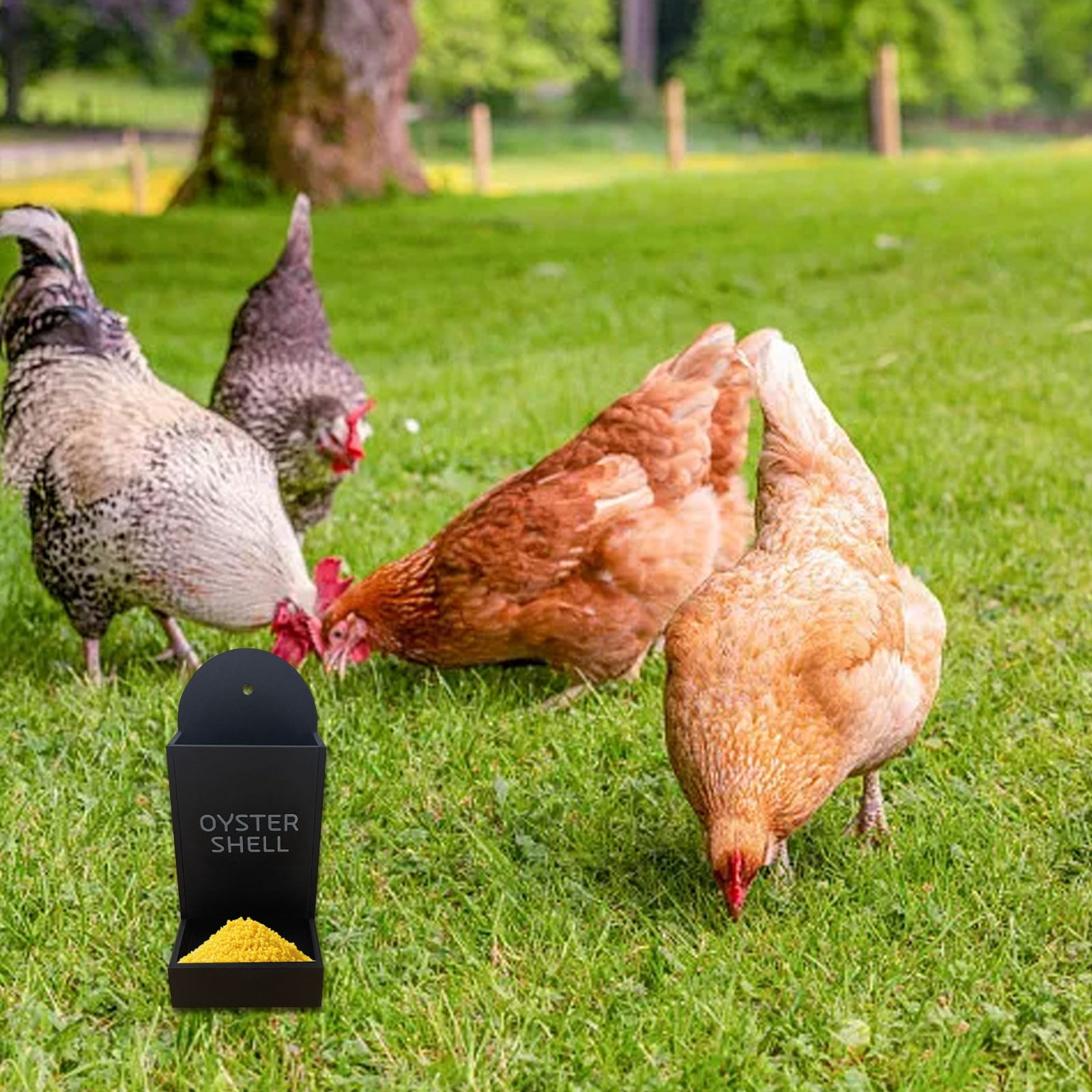 Gravel Feeder 3D Printing Feeder Home Decoration Made Of Durable ...