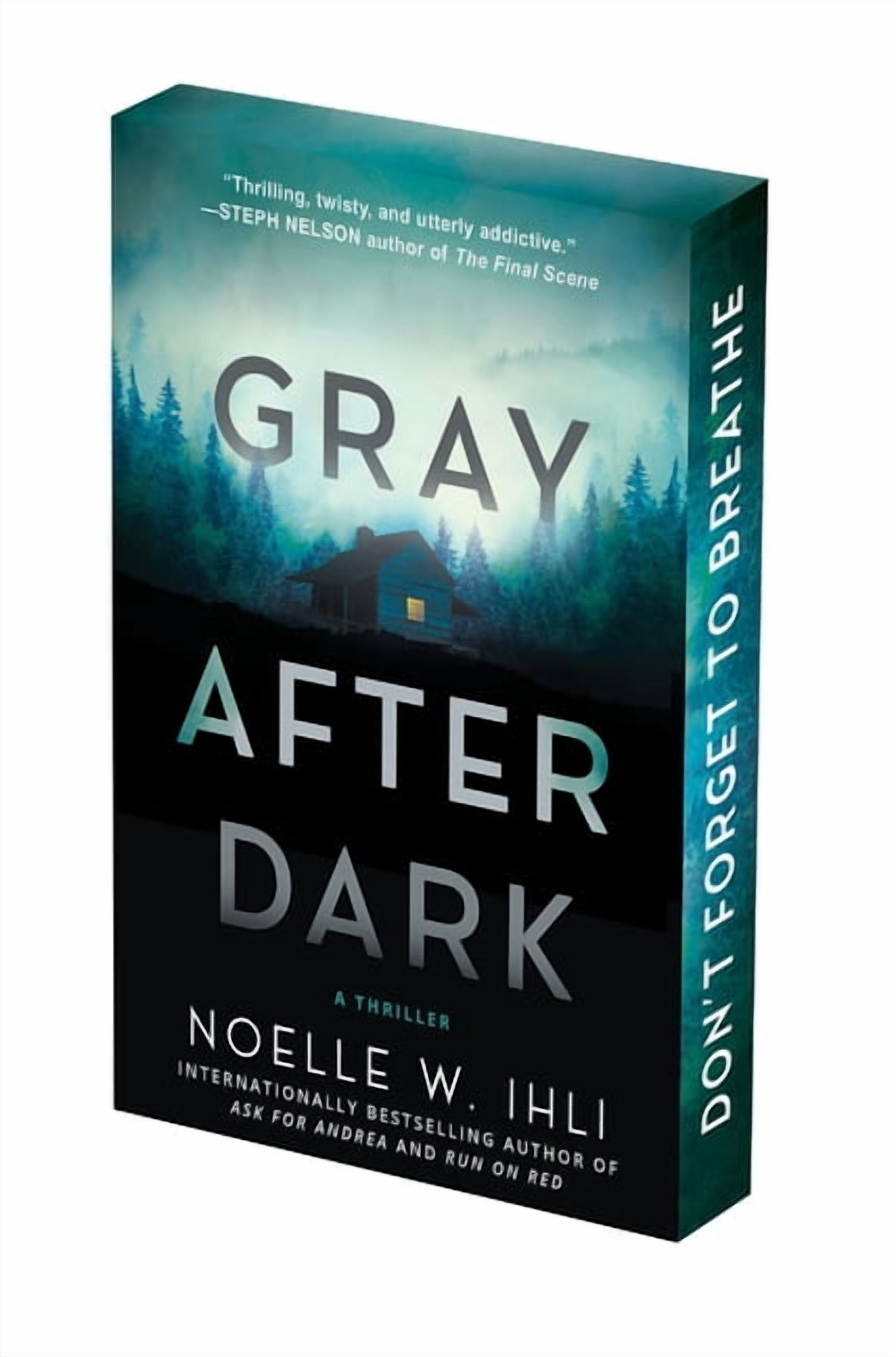 Gray After Dark: Deluxe Stenciled Edges (Paperback) - Walmart.com