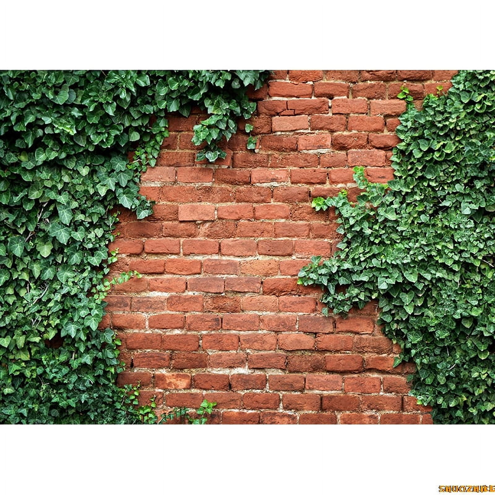 Gray Brown Antique Brick Wall Photography Backdrops Props Cemt Texture ...