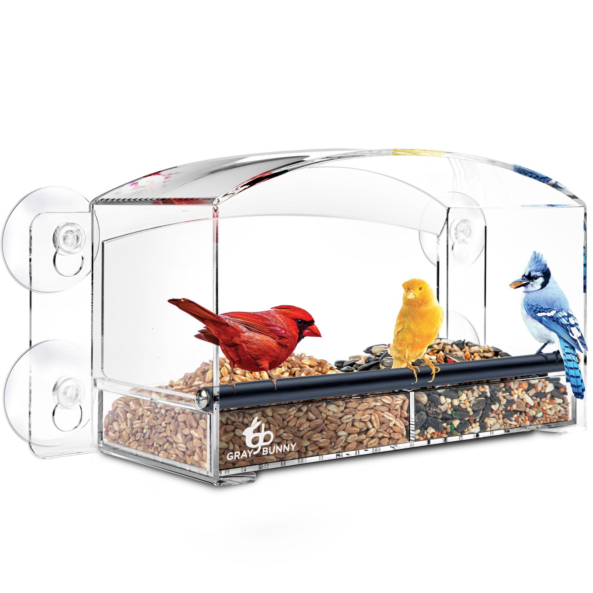 Gray Bunny Window Bird Feeder with AIS1 Strong Suction Window Bird ...