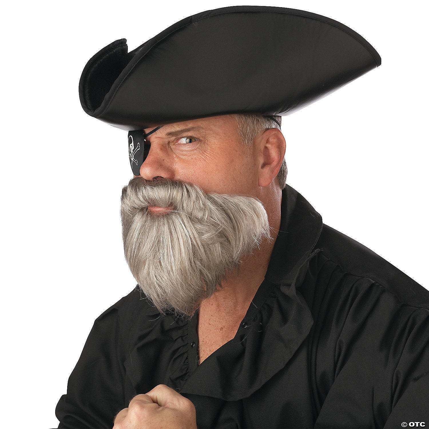 Gray Captain Beard and Stache Set Adult Halloween Accessory - Walmart.com