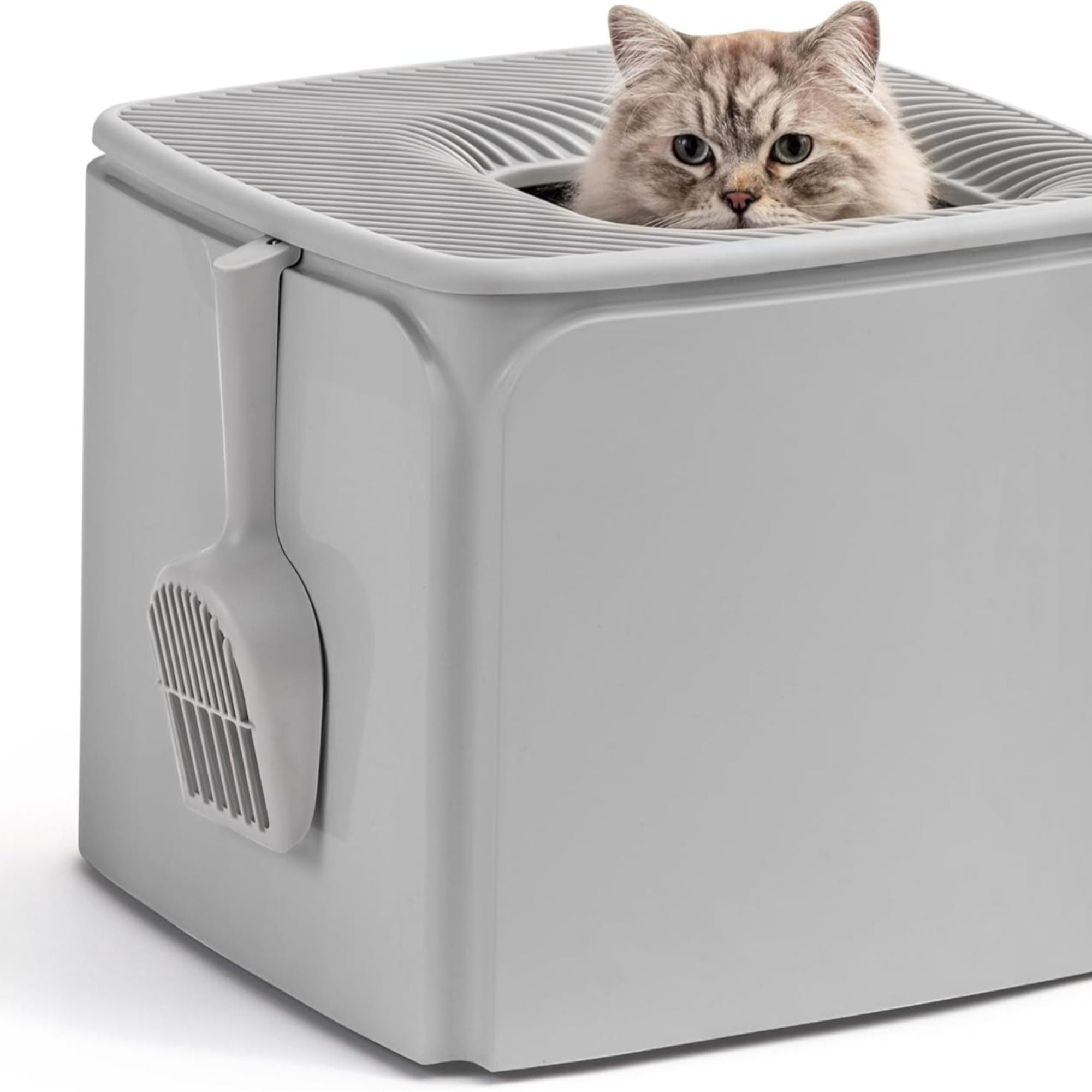 Gray Cat Litter Box Top Entry with Scoop, Covered Dog Proof Litter Box ...
