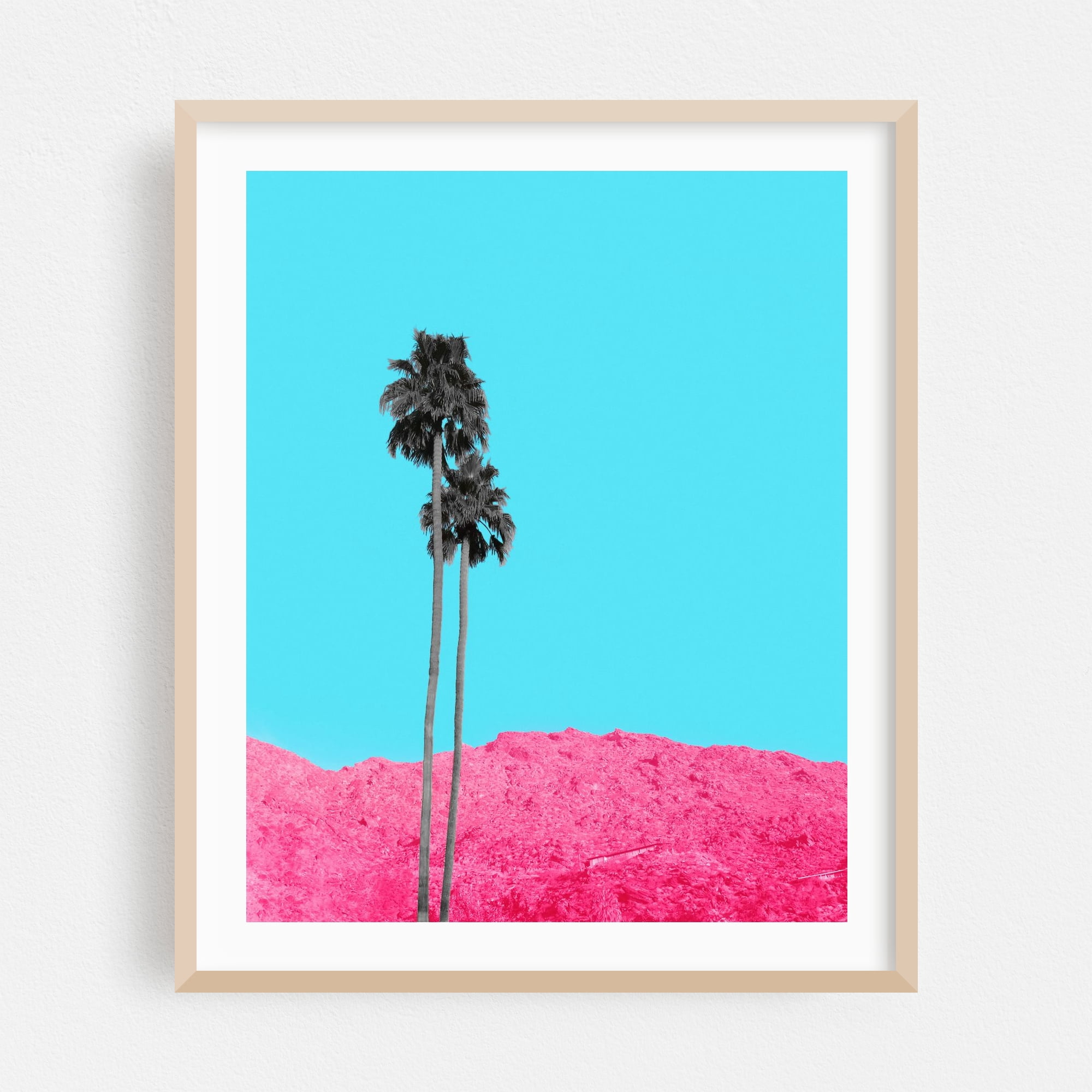 No Gray Dayz - Palm Springs - Palm Springs California Photography Palm ...
