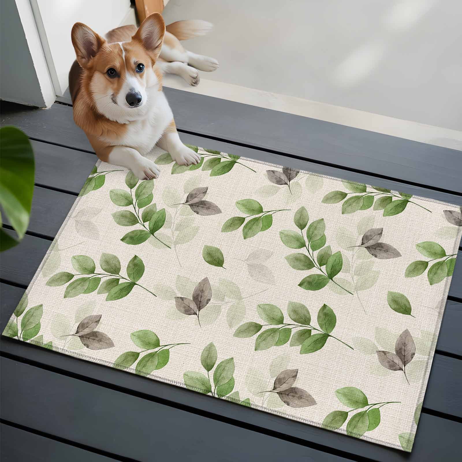 Gray Green Front Door Rugs 2x3 ft Eucalyptus Leaves Linen Background ...