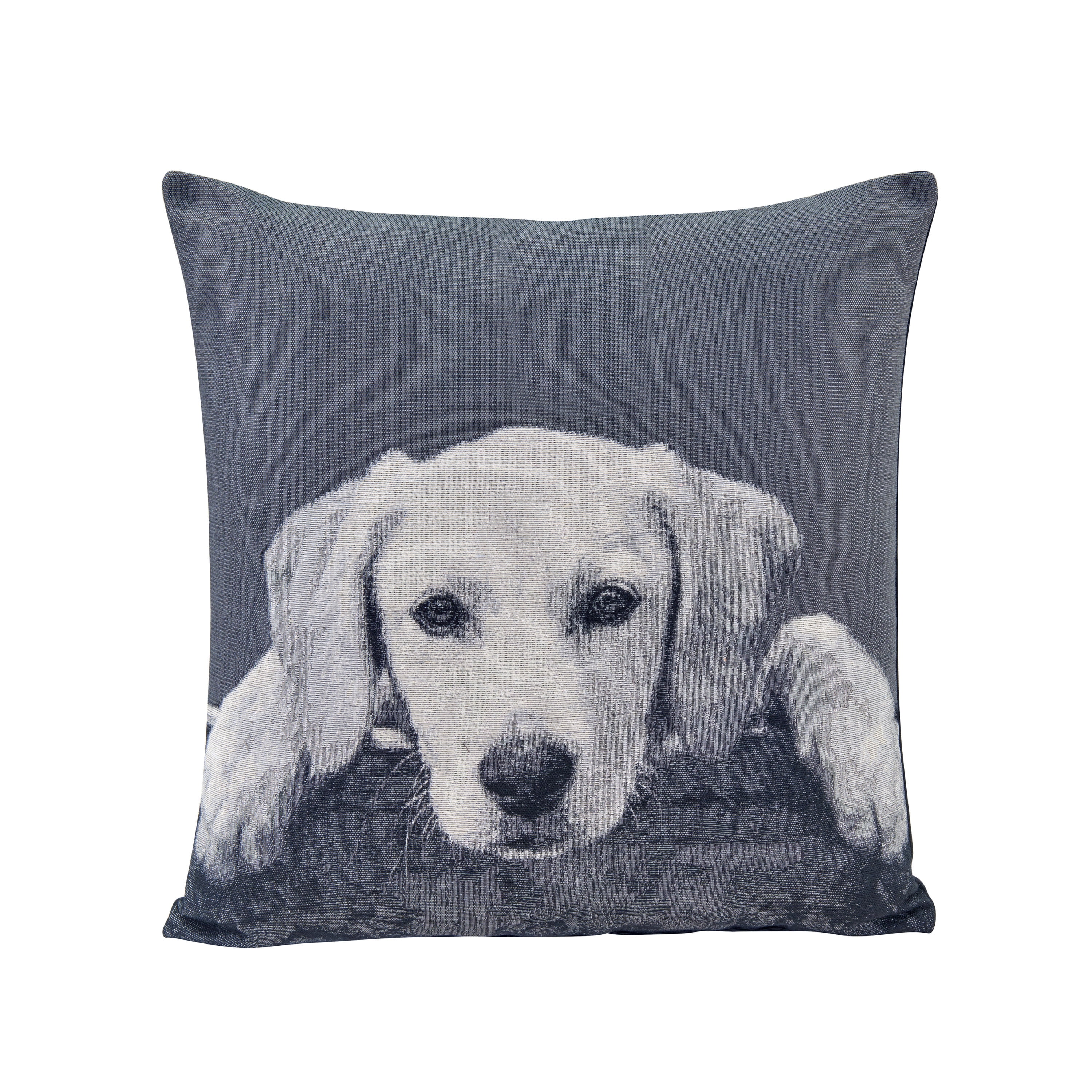 Danya B Labrador Puppy Cotton Jacquard Printed Accent Pillow - Walmart.com