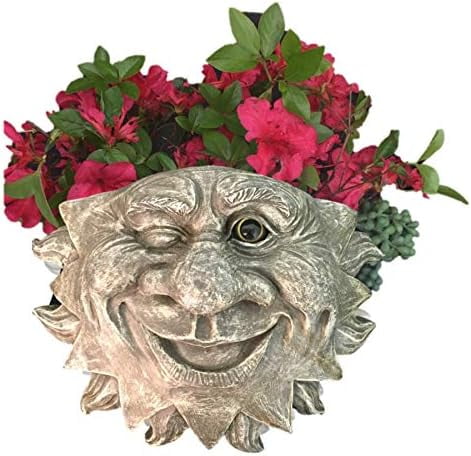 Gray Mr. Sun Shine Face Tree & Wall Statue Planter$$Garden & - Walmart.com