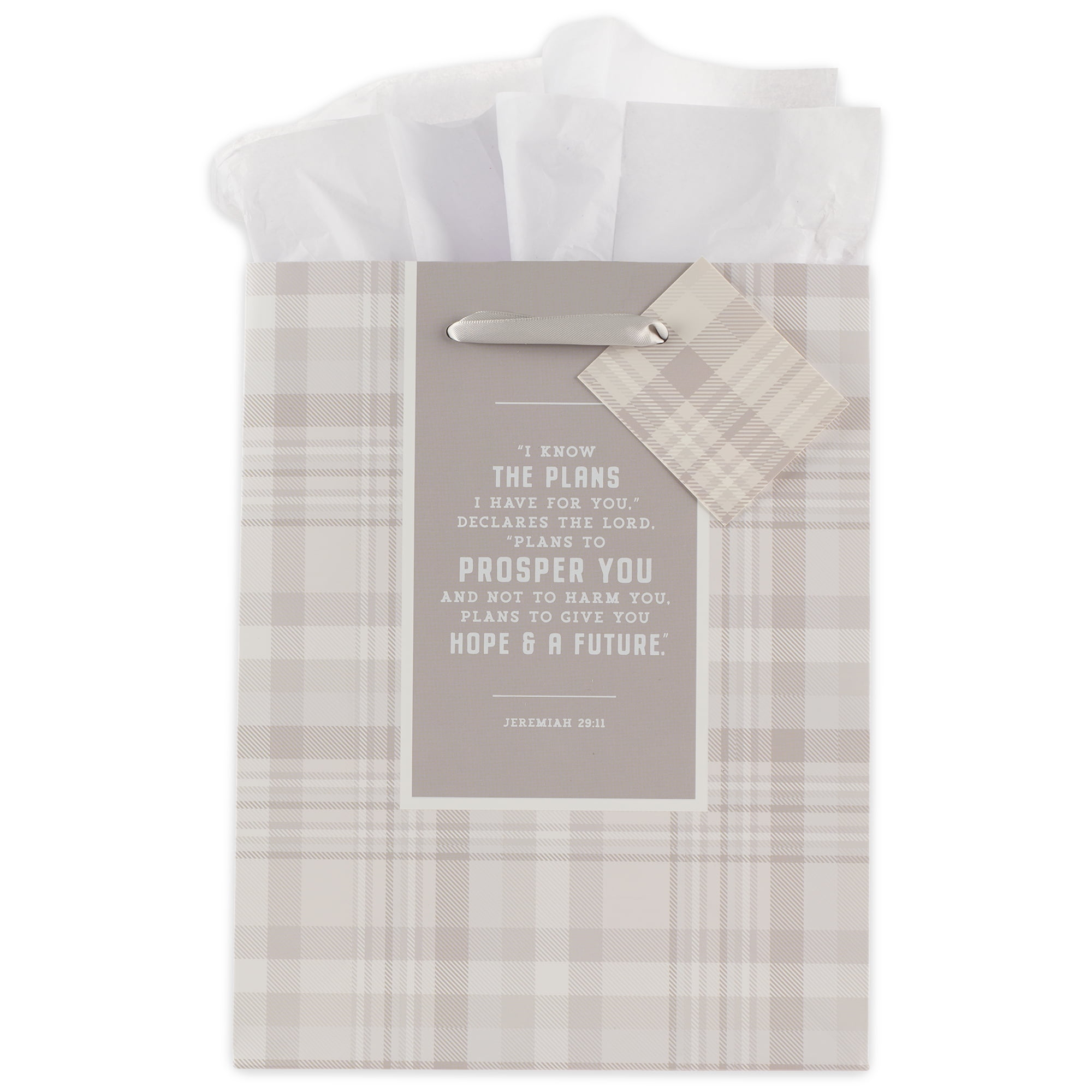 Gray Plaid Gift Bag & Tissue Paper Set: I Know The Plans Jeremiah 29:11 ...