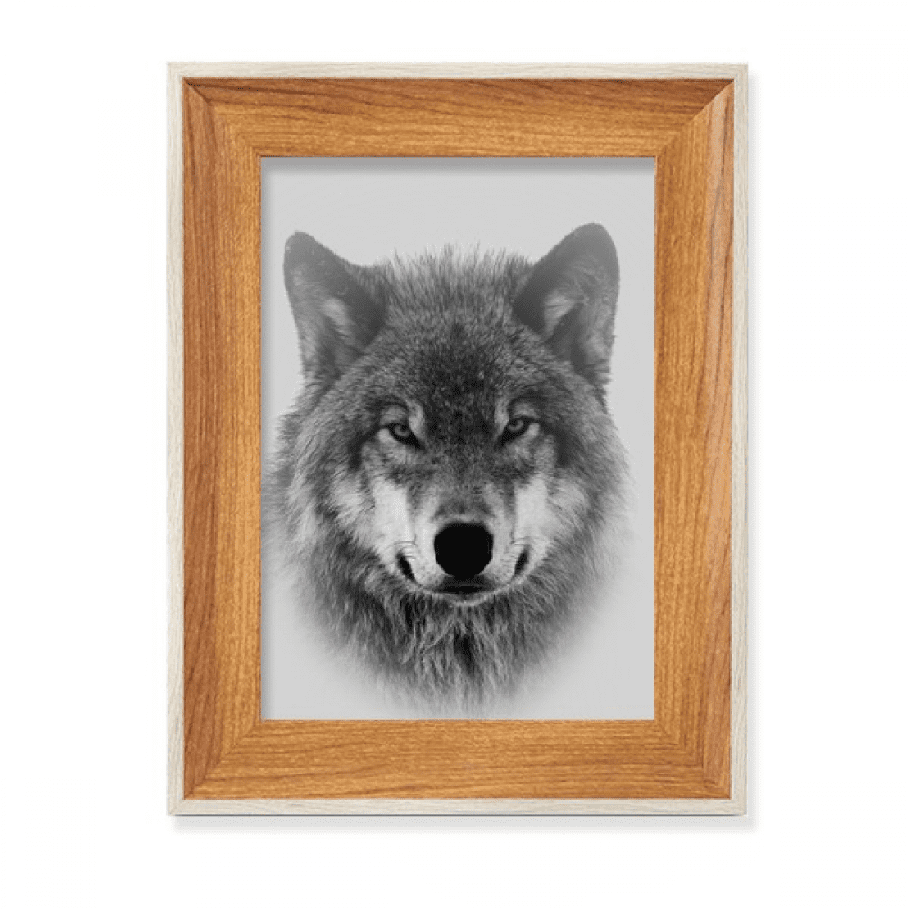 Gray Wolf Hunts Fiercely Desktop Wooden Photo Frame Display Picture Art ...