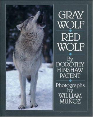 Pre-Owned Gray Wolf, Red Wolf (Hardcover) 0899198635 9780899198637 ...