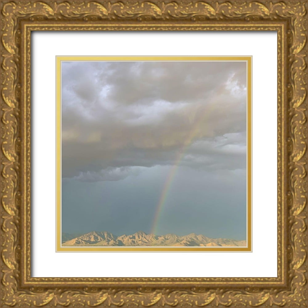 Grayscale 12x12 Gold Ornate Wood Framed with Double Matting Museum Art ...