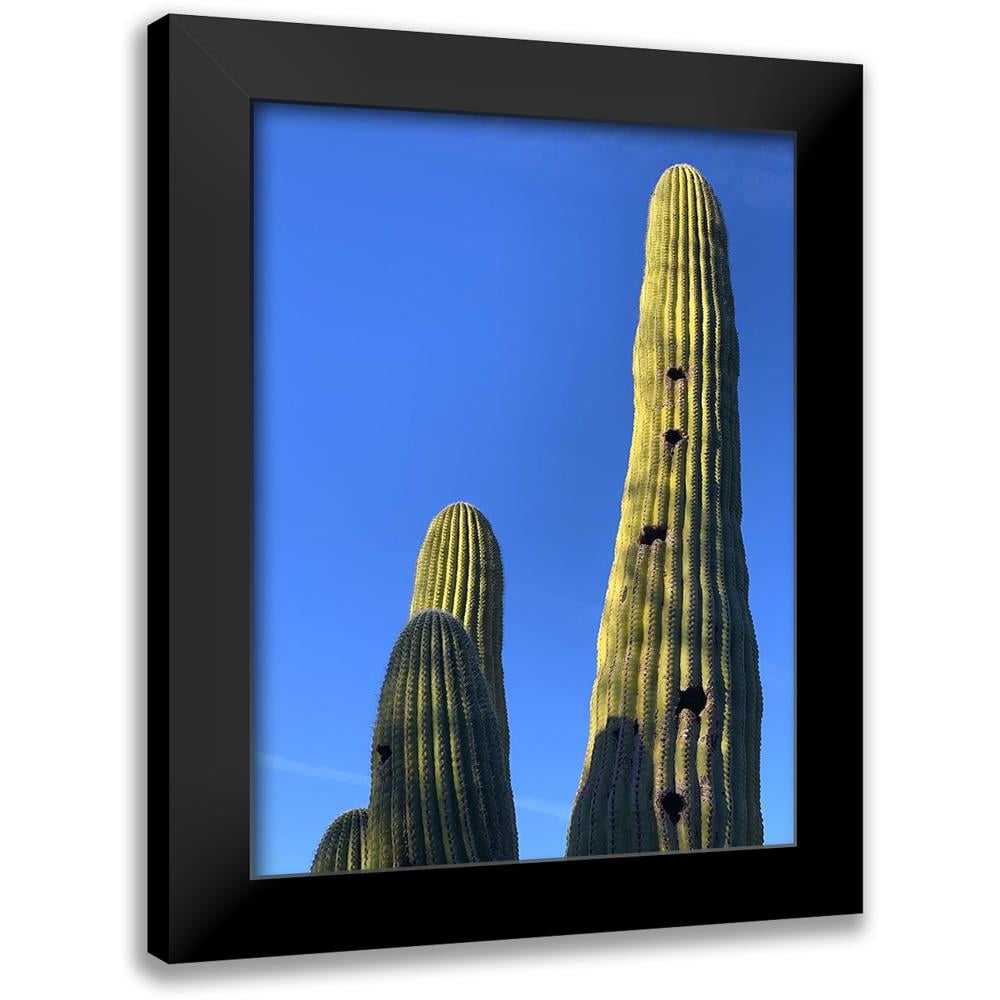 Grayscale 12x14 Black Modern Framed Museum Art Print Titled - Desert ...