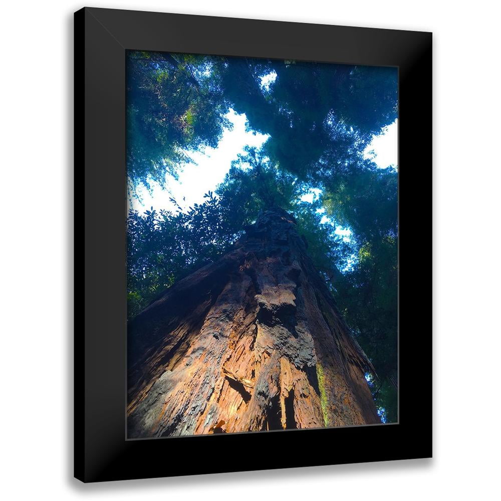 Grayscale 12x14 Black Modern Framed Museum Art Print Titled - Tree ...