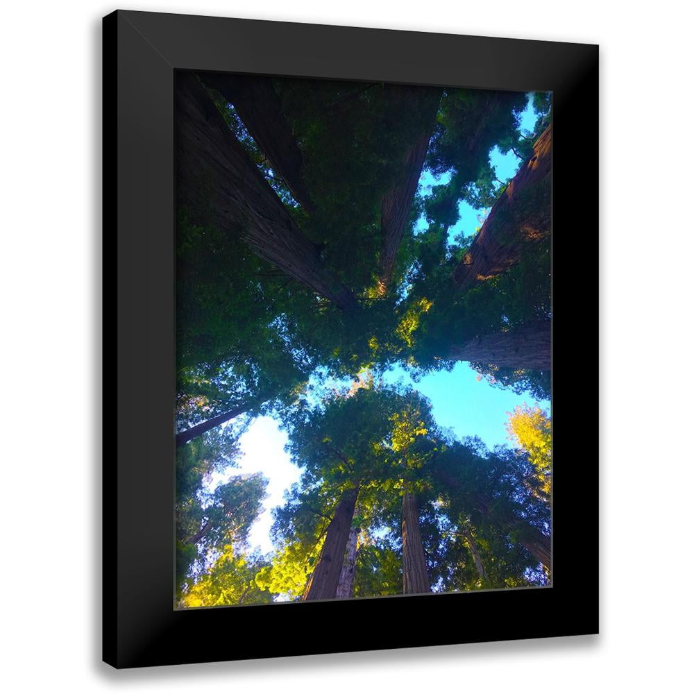 Grayscale 12x14 Black Modern Framed Museum Art Print Titled - Tree ...